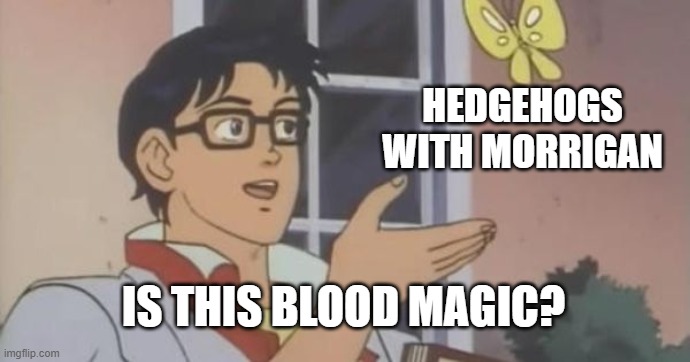 It's hard to distinguish the two, I admit - Imgflip