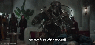 WOOKIE - Imgflip