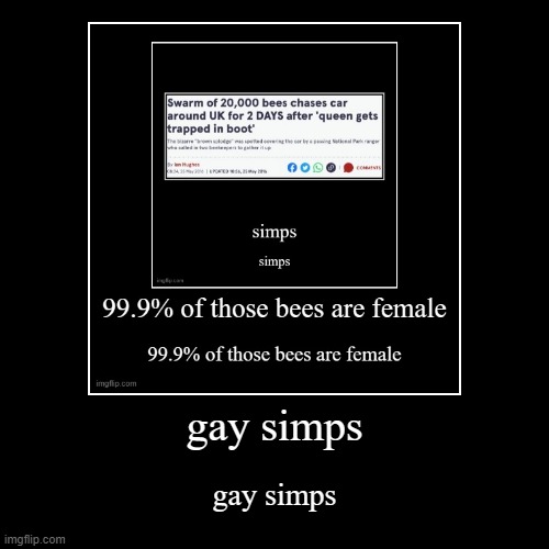 gay simps - Imgflip