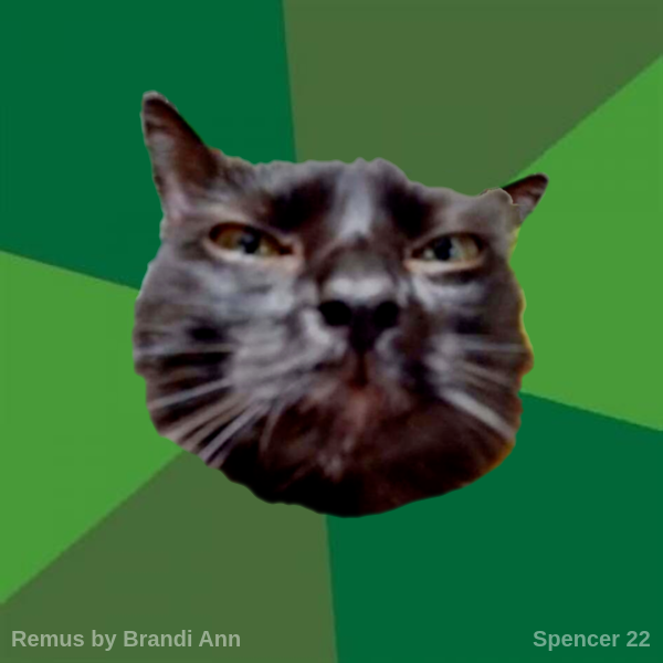 Remus Blank Template - Imgflip