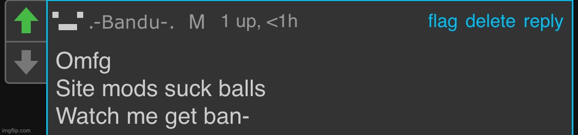 site mods: WAAA IM EASILY OFFENDED BY A 13 YEAR OLD!!!’ - Imgflip