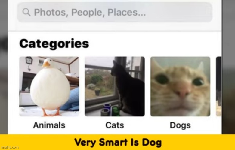 Image tagged in funny memes - Imgflip