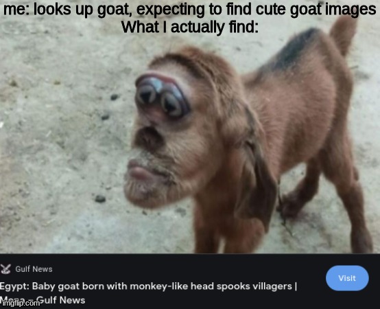 how the hell did i stumble upon this- - Imgflip