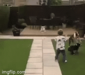 Tetherball Anyone? - Imgflip
