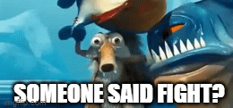someon said fight? - Imgflip