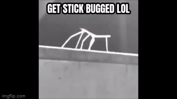 STICK BUG - Imgflip