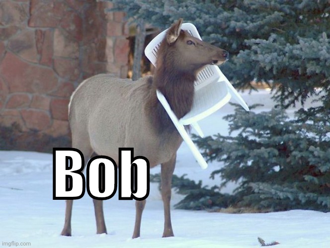 Bob - Imgflip