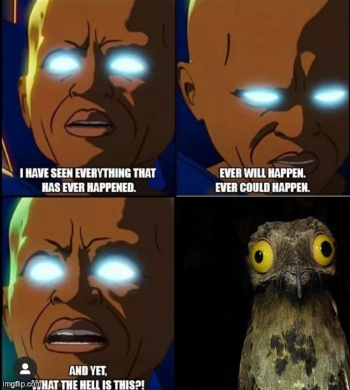 The Watcher, What The Hell - Imgflip