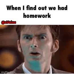 WHAT WE HAVE HOMEWORK! - Imgflip
