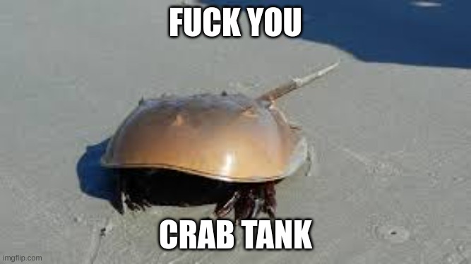 CRAB TANK - Imgflip