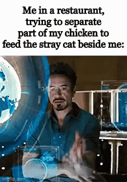 Giving the good stuff to the cat because yes - Imgflip