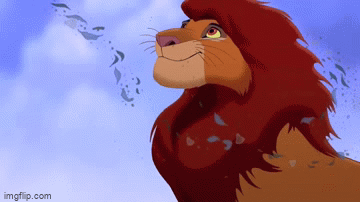 Wind in Simba's mane - Imgflip