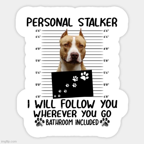 e(mod note- mods are watching) - Imgflip