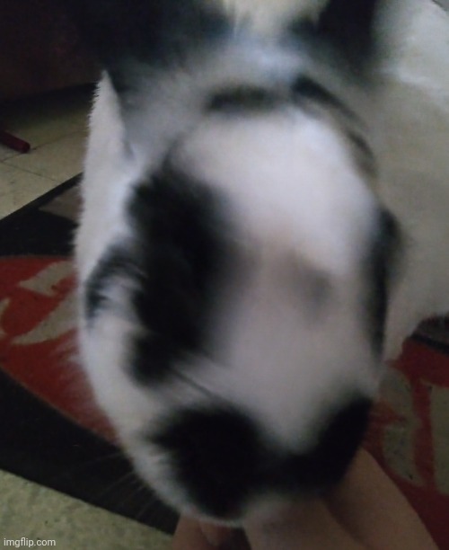 she's coming - Imgflip