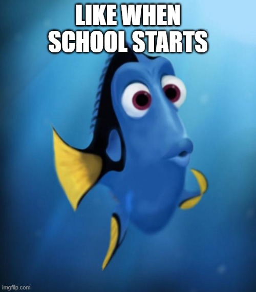 Easily Distracted - Imgflip