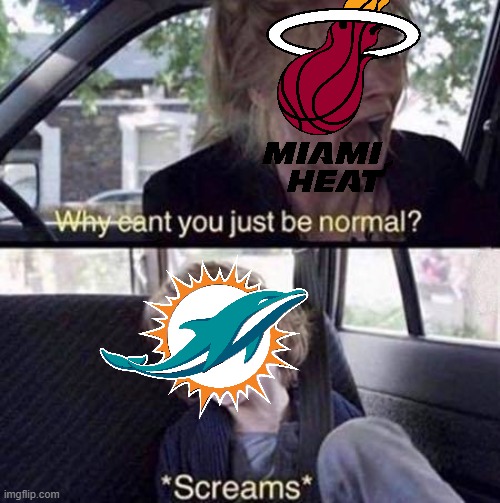 Why Can't You Just Be Normal - Imgflip