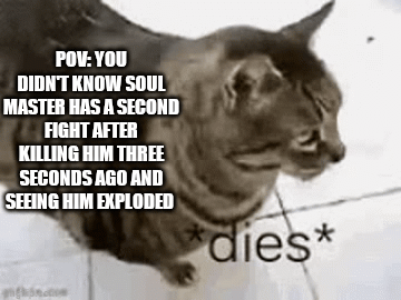 Dies after the second phase of soul master and restart the whole battle ...