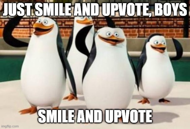 To whomever created the new subreddit banner... : r/sto