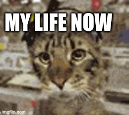 my life now - Imgflip