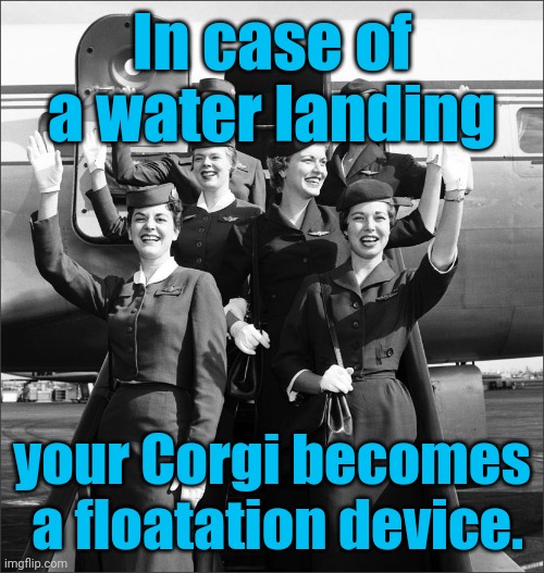 Floating corgi - Imgflip