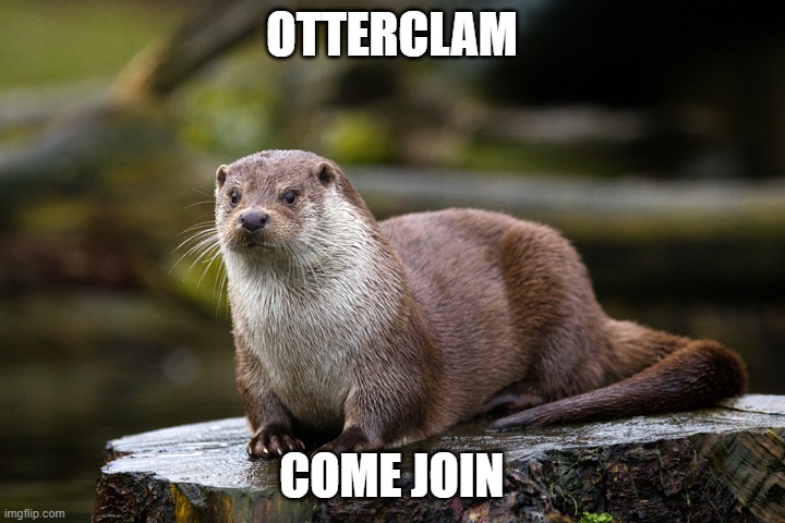 Otter - Imgflip