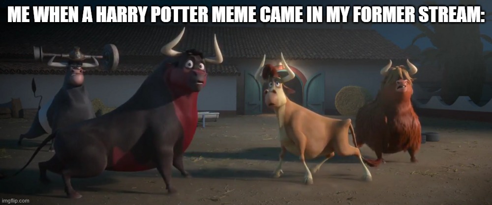 Surprised Bulls - Imgflip