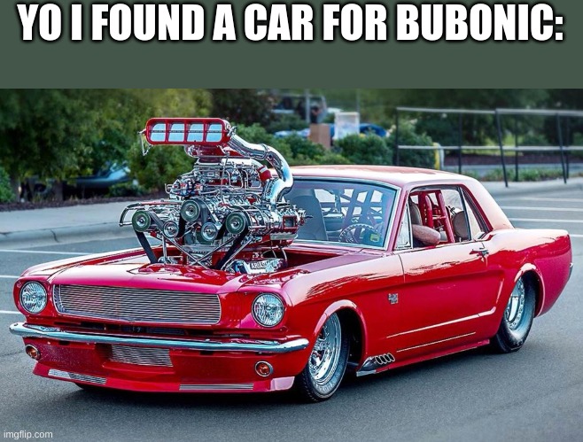 its a mustang with an "Aussie blower". otherwise known to me (not ...