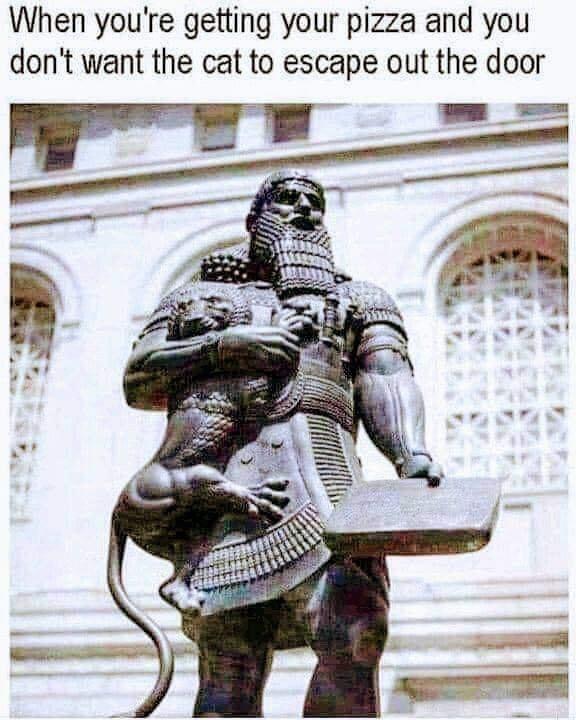 Cat guy Blank Template - Imgflip