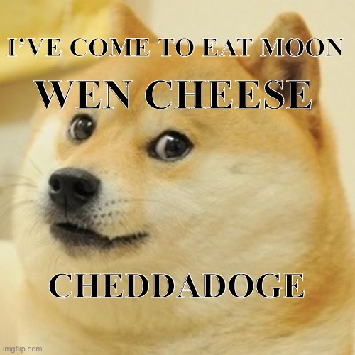 Doge Meme - Imgflip