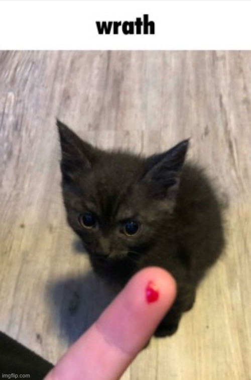 wrath - Imgflip