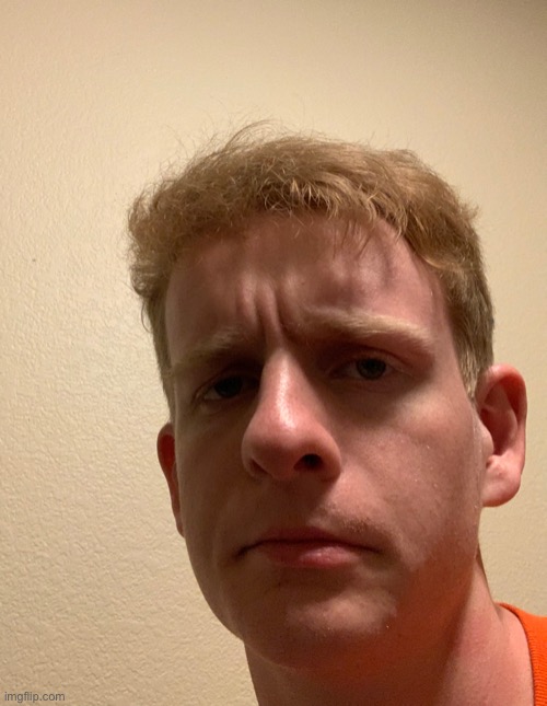 What do you think this is - Imgflip