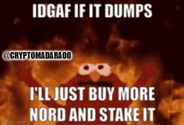 Nord Vikings DGAF - Imgflip