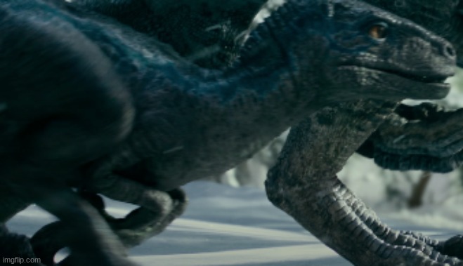 Everyone meet Blue's baby Beta - Imgflip