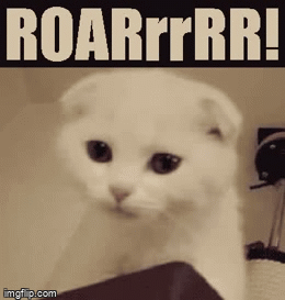 ROARrrRR! - Imgflip