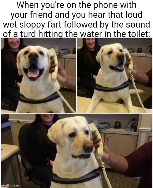 Image tagged in blank white template,sad news doggo - Imgflip