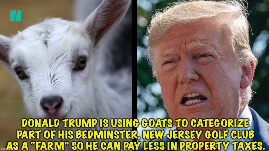 The truth about Trump gets stranger with each passing day. - Imgflip