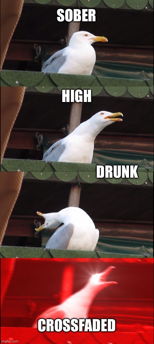 Inhaling Seagull Meme - Imgflip