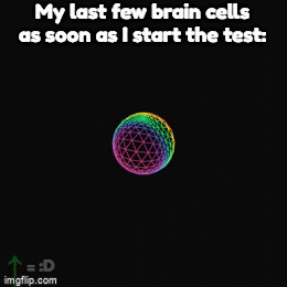 My last brain cells have wandered into a different dimension never to ...