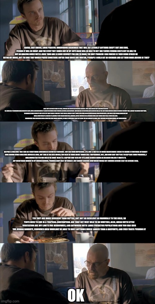 Jesse WTF are you talking about? - Imgflip