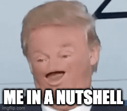 me in a nutshell (kinda) - Imgflip