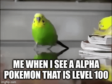 bird running from explosion - Imgflip
