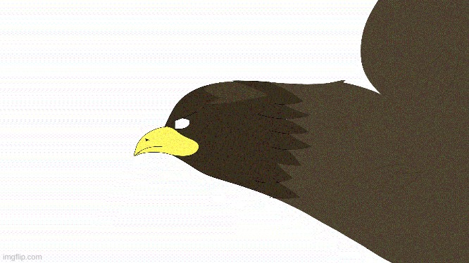 Golden Eagle - Imgflip