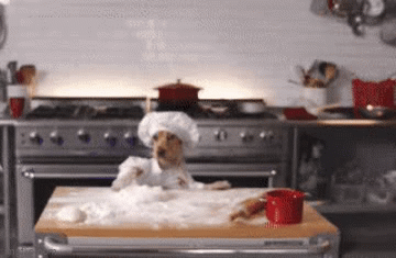 Dogs can cook too ?!?! - Imgflip