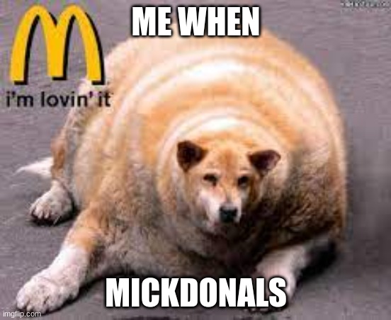 Fat doge - Imgflip