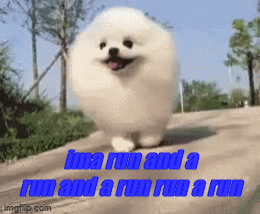 No Running - Imgflip