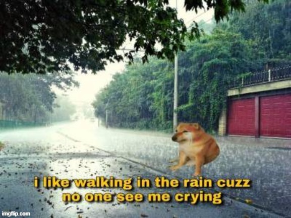 Image tagged in cheems rain - Imgflip