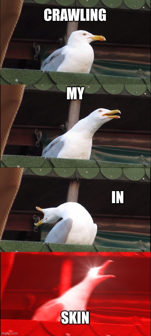 Inhaling Seagull Meme - Imgflip