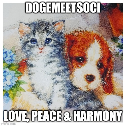 DOGEmeetsOCI - Imgflip