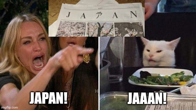 Angry lady cat - Imgflip