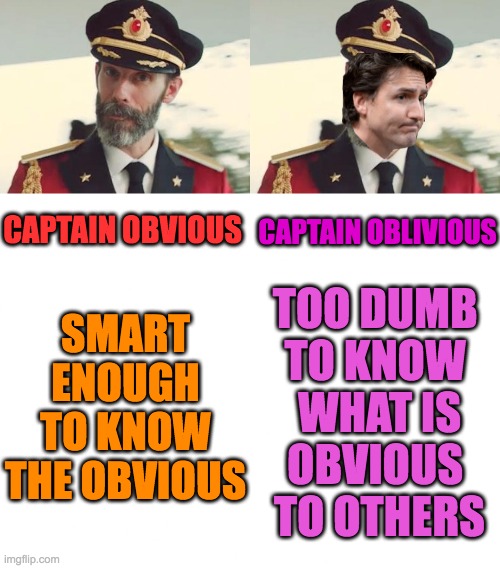 Tale of Two Captains: One is Obvious the other Oblivious - Imgflip